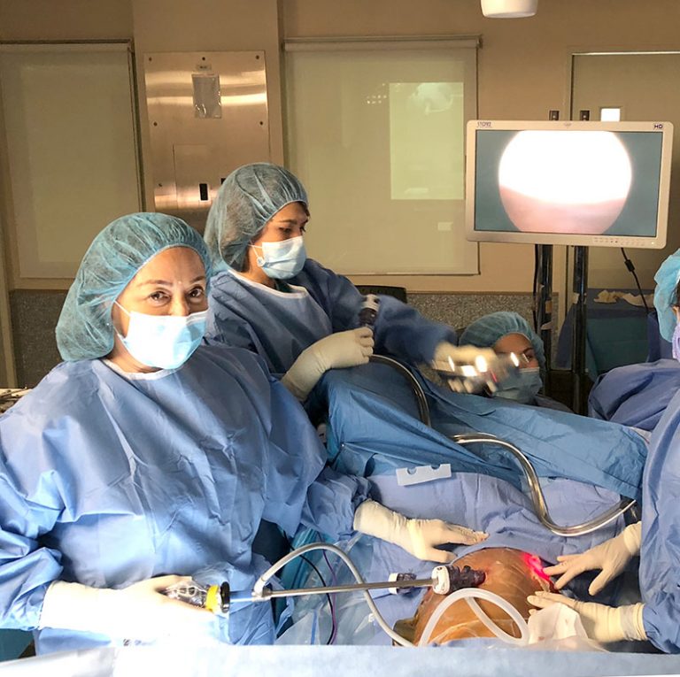 MINIMALLY INVASIVE SURGERY IN PREGNANCY - Rebecca Singson, M.D.